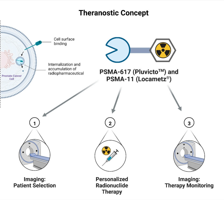 PSMA: A Key Target for Radiotherapy & Diagnosis in Prostate Cancer-DIMA ...