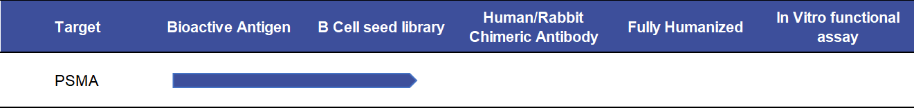 PSMA: A Key Target for Radiotherapy & Diagnosis in Prostate Cancer-DIMA ...