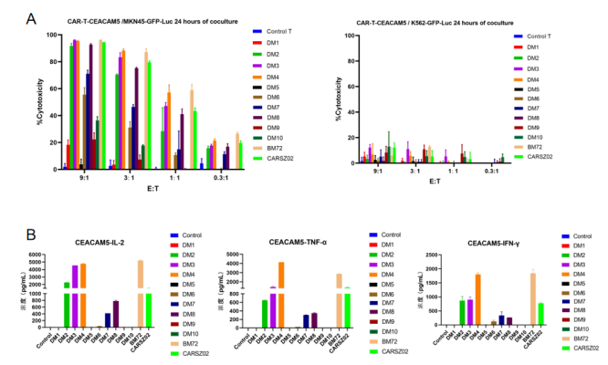 CEACAM5 – An Emerging Target for Cancer Therapy-DIMA BIOTECH