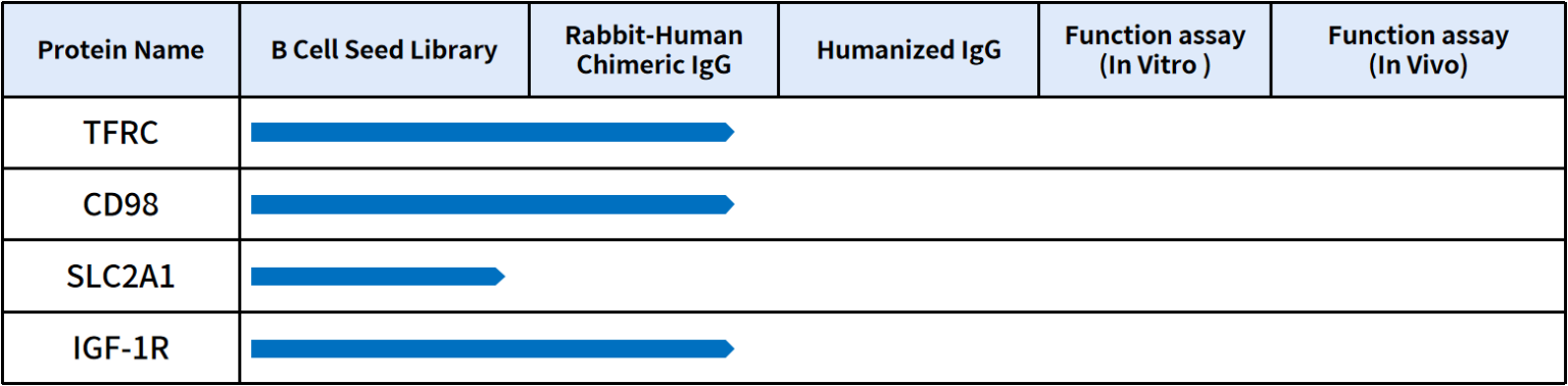 From BD to Clinical Milestones The Core Trends in Autoimmune Diseases ...