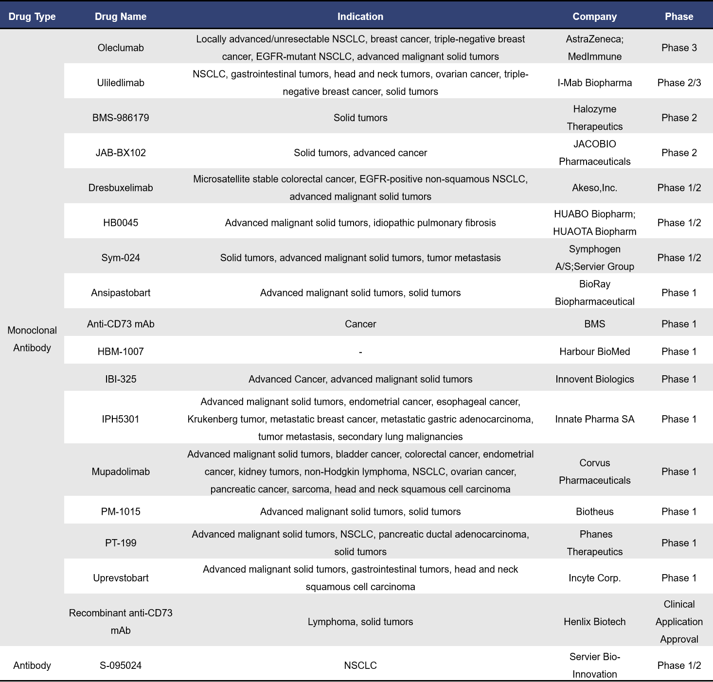 CD73 – A Promising Target in Cancer Immunotherapy-DIMA BIOTECH