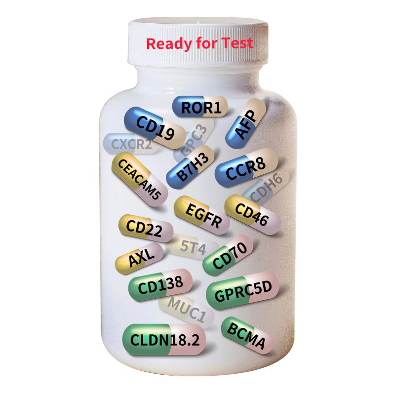 Lead mAbs Liscensing out-DIMA BIOTECH