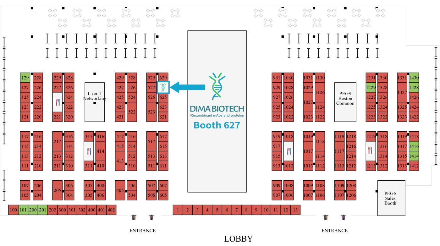 pegs-boston-essential-protein-engineering-cell-therapy-2023 - DIMA ...