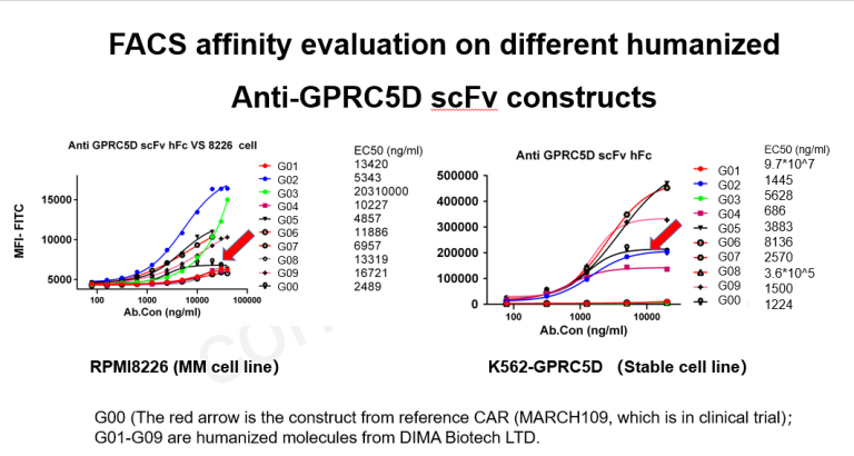 GPRC5D, a promising therapeutic target for multiple myeloma - DIMA ...