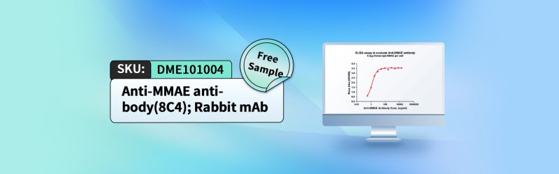 MMAE Antibody Enhance ADC Development