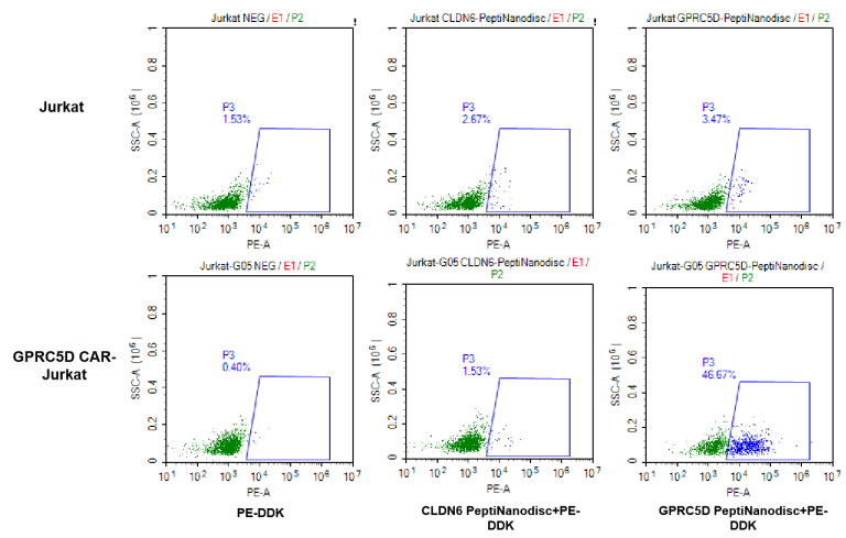 PeptinanoDisc: Solution for Membrane Protein & Cell Assays-DIMA BIOTECH