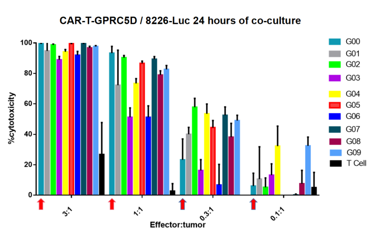 GPRC5D, a promising therapeutic target for multiple myeloma - DIMA ...