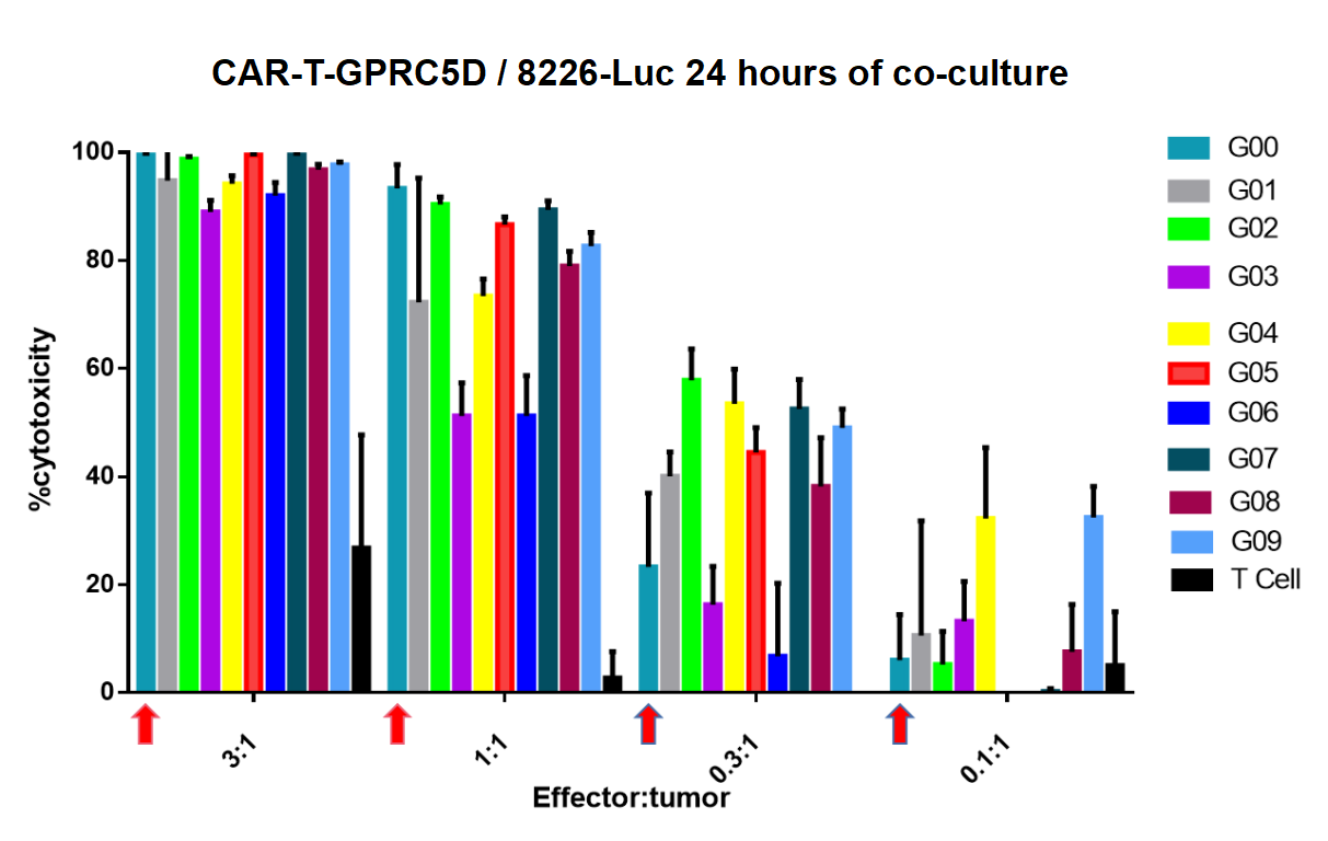 GPRC5D, a promising therapeutic target for multiple myeloma - DIMA Biotechnology