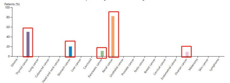 CDH6‑ADC: Promising Results for Ovarian Cancer Treatment-DIMA BIOTECH