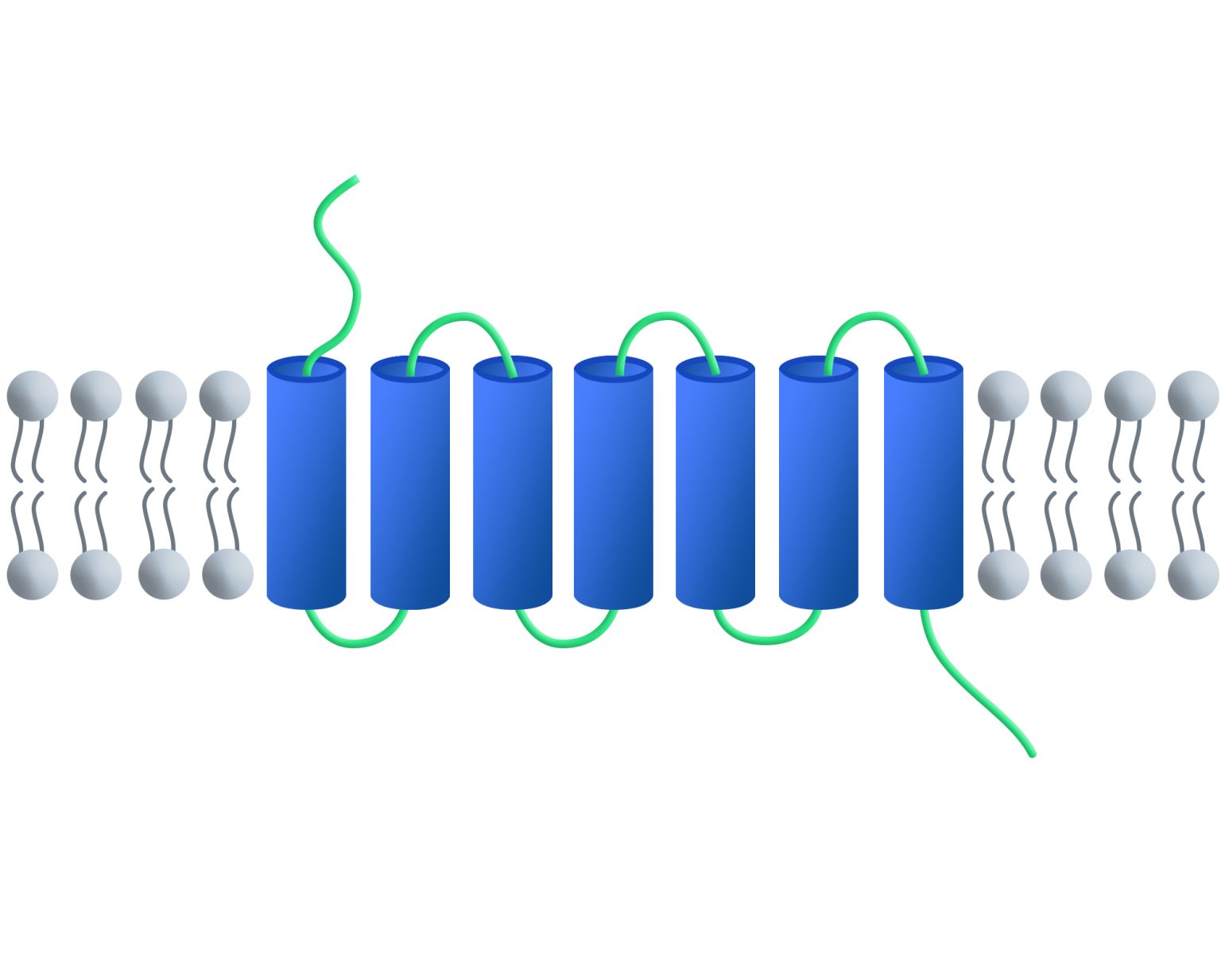 SPR services - DIMA Biotechnology