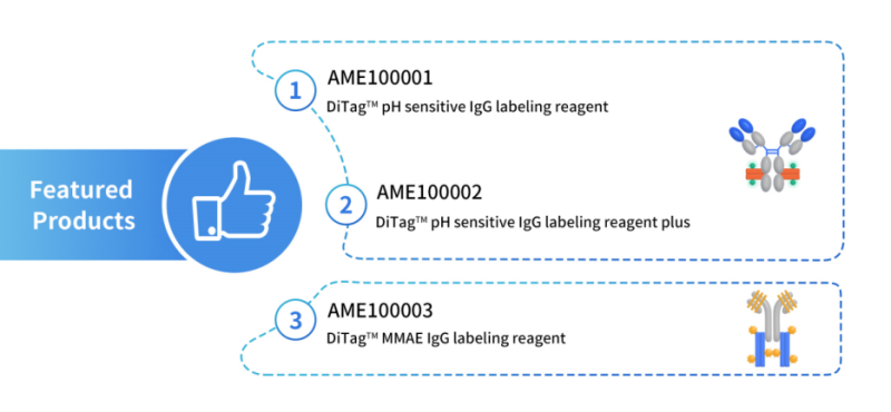 Dual‑Function Reagent for ADC Screening: Evaluating Internalization ...