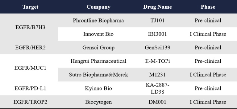 Popular Targets in the Bispecific ADC Pipeline-DIMA BIOTECH