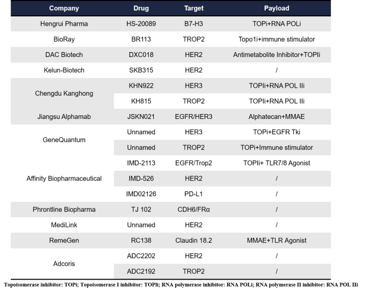 Dual-Payload ADCs: The Next Big Thing in the ADC Arena - DIMA Biotechnology