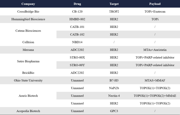 Dual-Payload ADCs: The Next Big Thing in the ADC Arena - DIMA Biotechnology