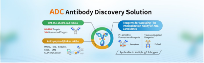 Dual‑Payload ADCs: The Next Big Thing in the ADC Arena-DIMA BIOTECH