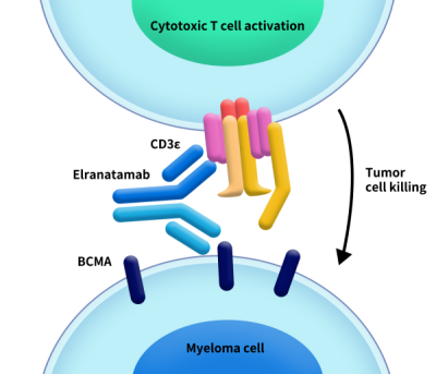 A Look Back – FDA Approvals of Monoclonal Antibodies in 2023-DIMA BIOTECH