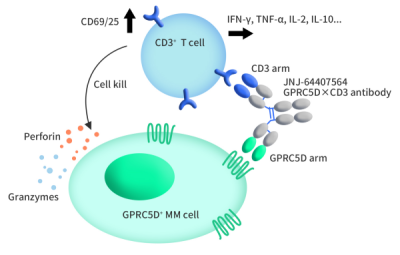 A Look Back – FDA Approvals of Monoclonal Antibodies in 2023-DIMA BIOTECH