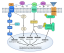 GPC3, a Popular Target in Liver Cancer Treatment - DIMA Biotechnology
