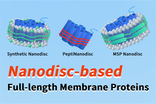 Nanodisc: Recombinant Membrane Proteins-DIMA BIOTECH