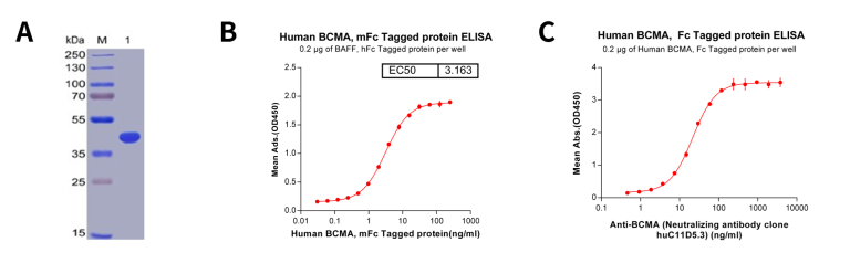 Case Studies - DIMA Biotechnology