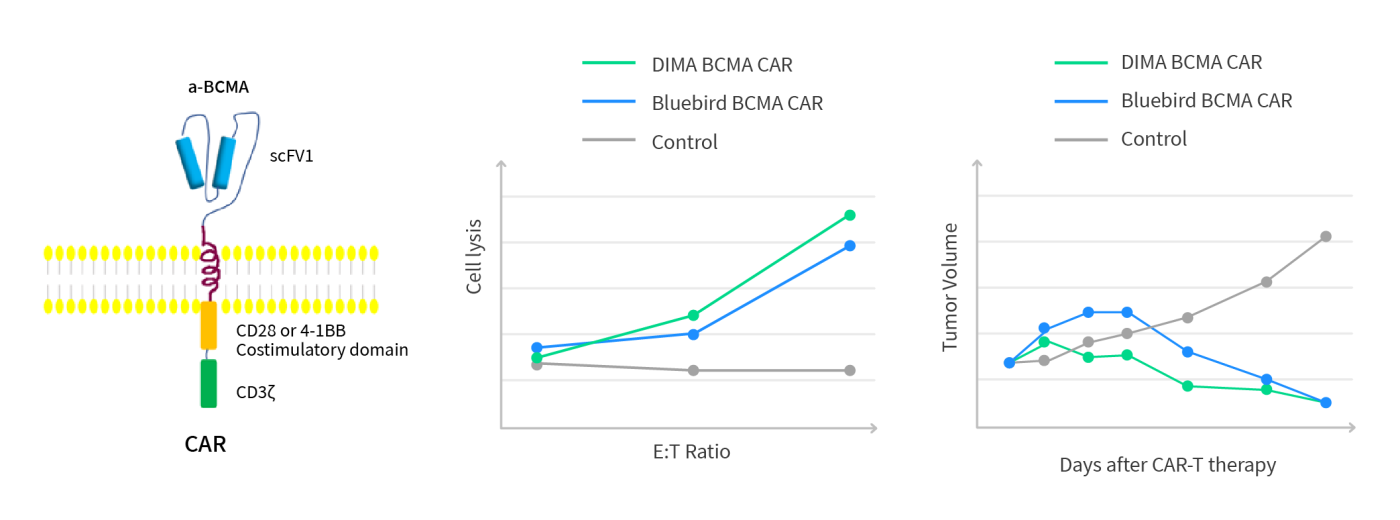 Case Studies - DIMA Biotechnology