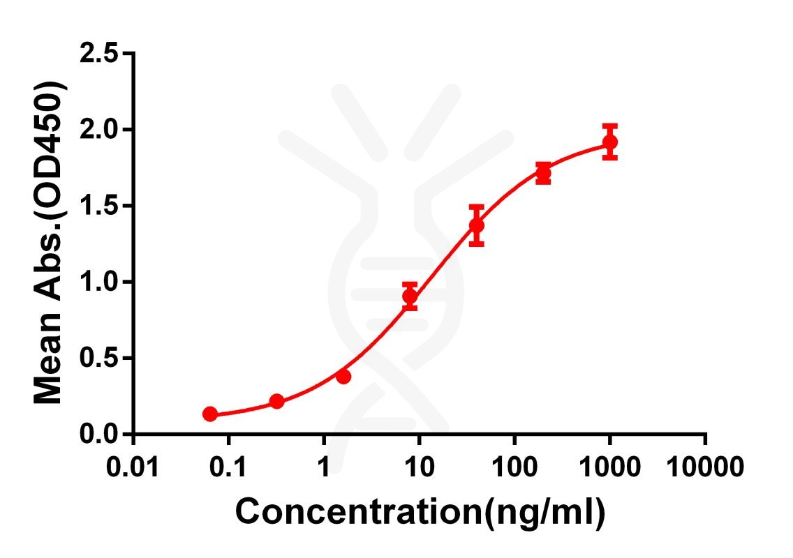 Buy Anti-CD33 antibody(DM77); Rabbit mAb-High-quality CD33 Antibody for ...