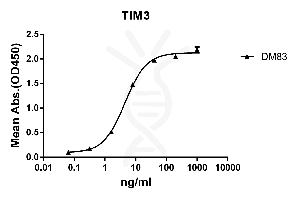 Anti-TIM3 antibody(DM83); Rabbit mAb - DIMA Biotechnology