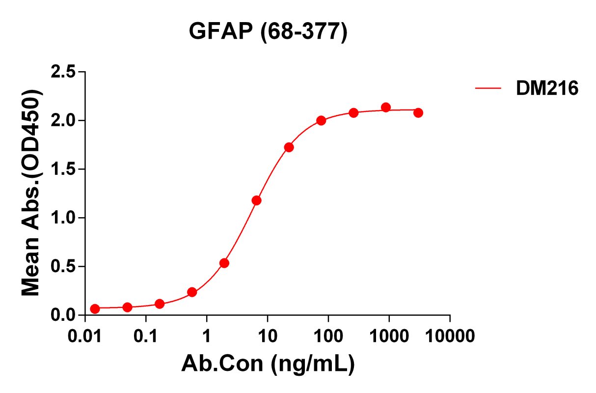 Anti-GFAP(68-377) antibody(DM216); Rabbit mAb - DIMA Biotechnology