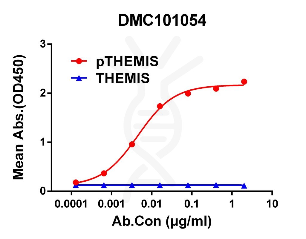 Anti-pTHEMIS antibody(4F2), IgG1 Chimeric mAb - DIMA Biotechnology