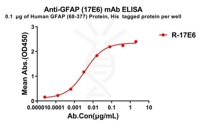 Anti-GFAP(68-377) antibody(17E6), Rabbit mAb - DIMA Biotechnology