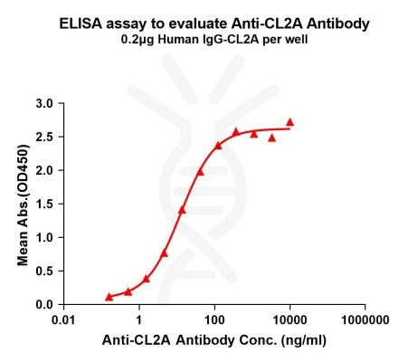 Anti-CL2A(ADC linker) antibody(1G9); Rabbit mAb - DIMA Biotechnology
