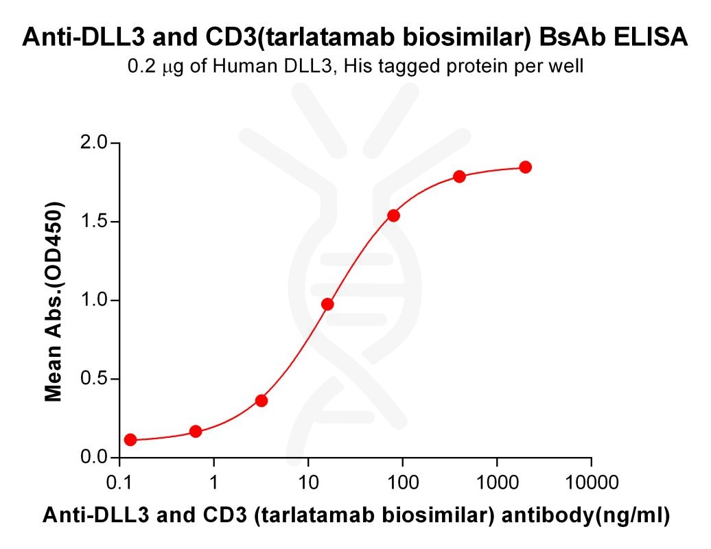 Anti-DLL3 and CD3(tarlatamab biosimilar) BsAb - DIMA Biotechnology