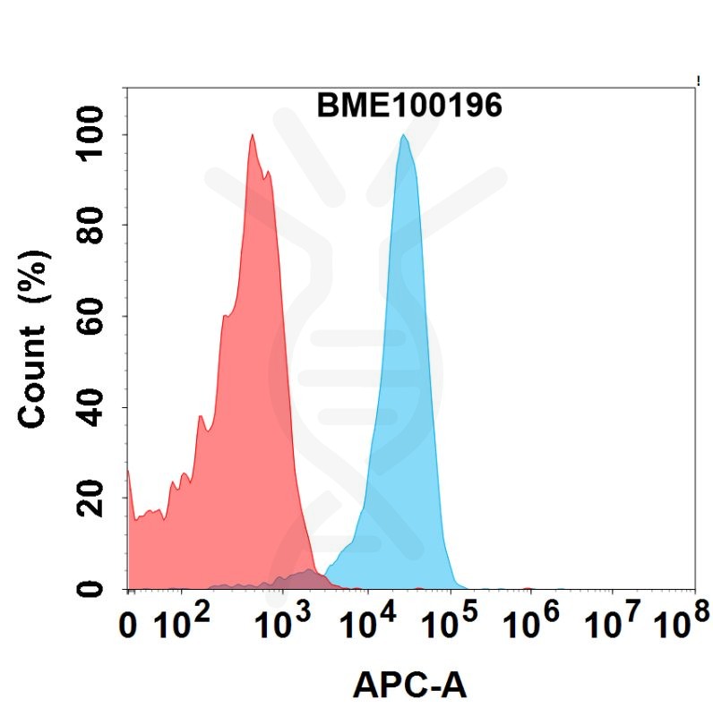 Anti-GPRC5D and CD3(LBL-034 biosimilar) BsAb - DIMA Biotechnology
