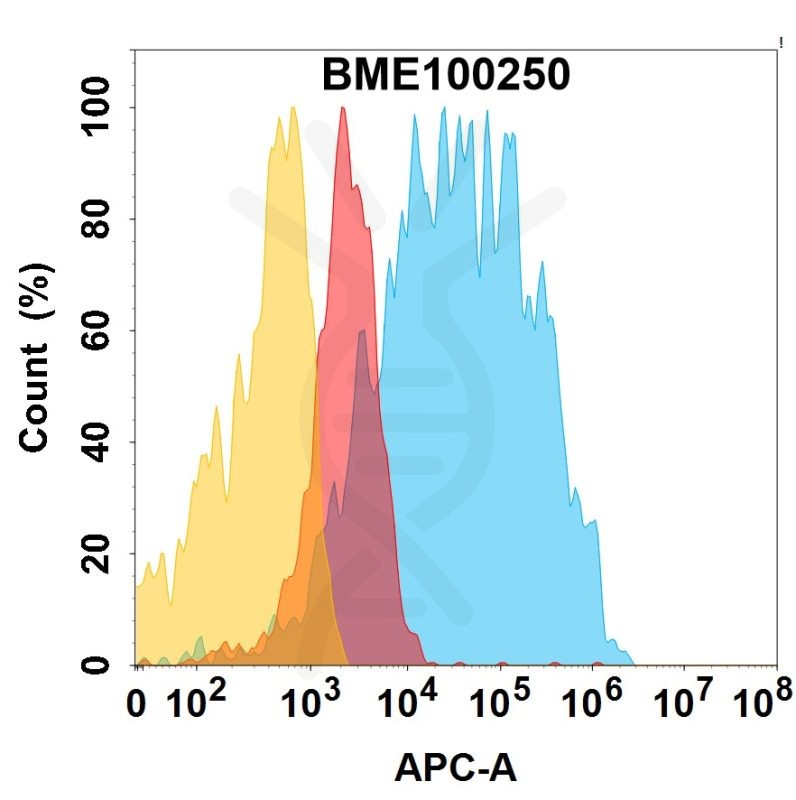 Anti-EGFR(QD6 biosimilar) mAb - DIMA Biotechnology