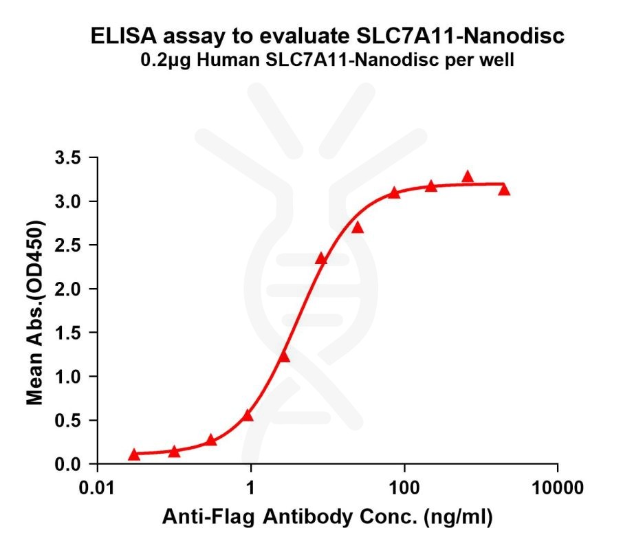 Human SLC7A11 full length protein-synthetic nanodisc - DIMA Biotechnology