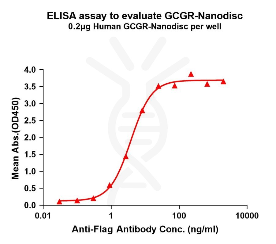 Human GCGR full length protein-synthetic nanodisc - DIMA Biotechnology