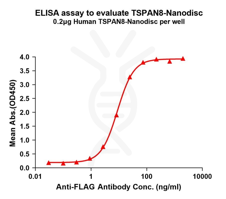 Human TSPAN8 full length protein-synthetic nanodisc - DIMA Biotechnology