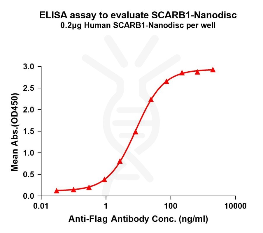 Human SCARB1 full length protein-synthetic nanodisc - DIMA Biotechnology
