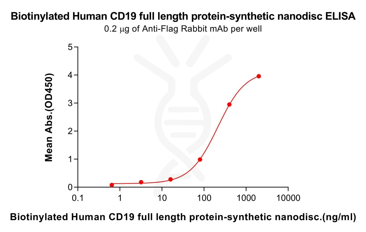 Biotinylated Human CD19 full length protein-synthetic nanodisc-Full ...