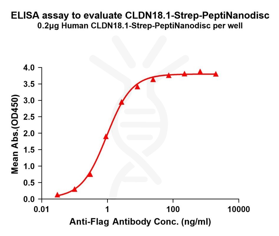 Human CLDN18.1-Strep full length protein-PeptiNanodisc-Full-length ...
