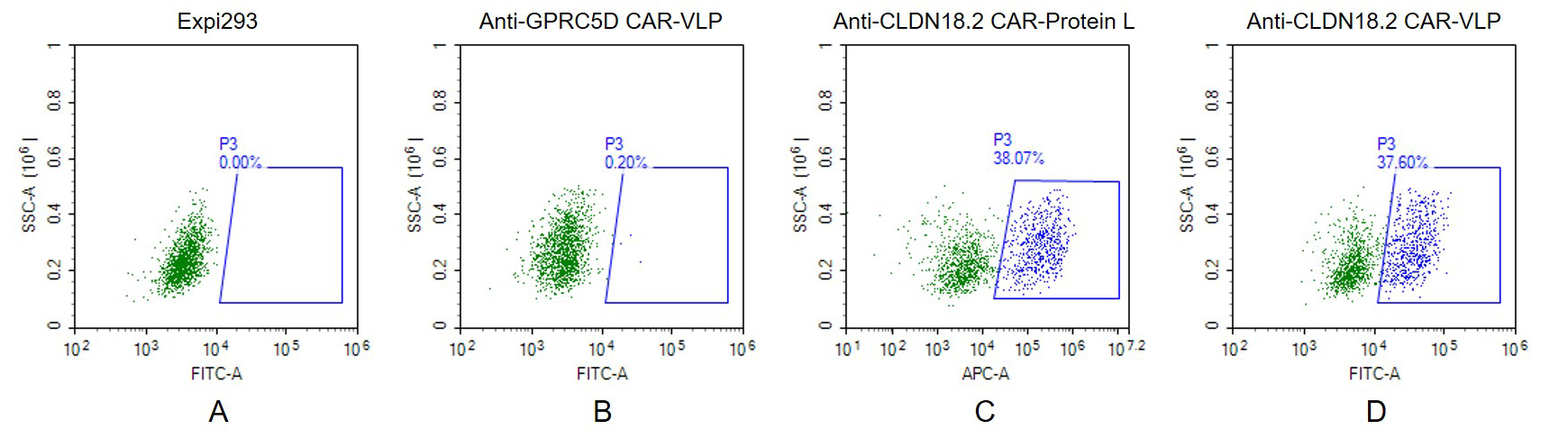 Fluorescent Human CLDN18.2 Full Length Protein-VLP (EGFP) - DIMA ...
