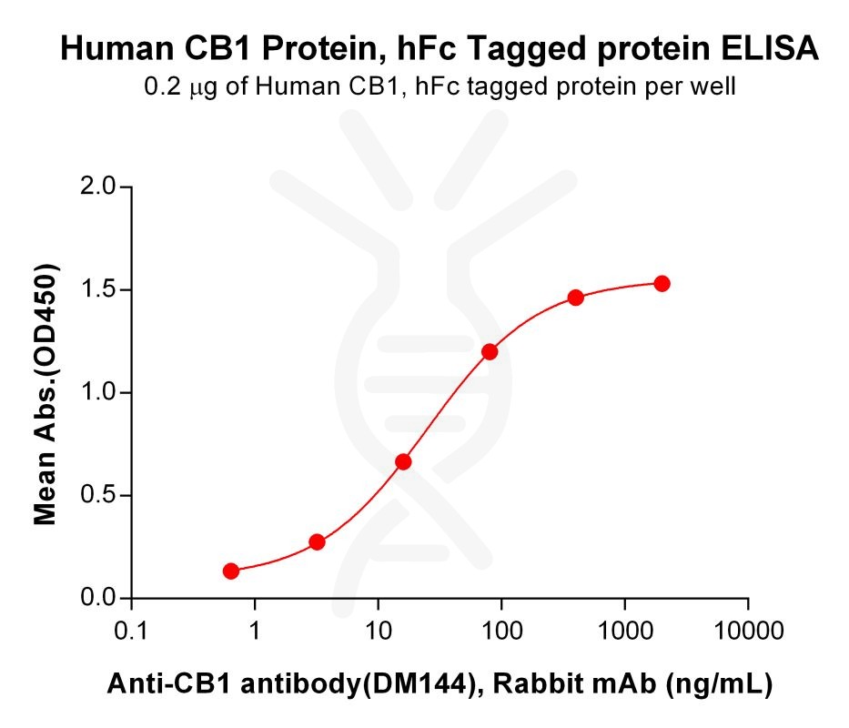 Human CB1 Protein, hFc Tag - DIMA Biotechnology