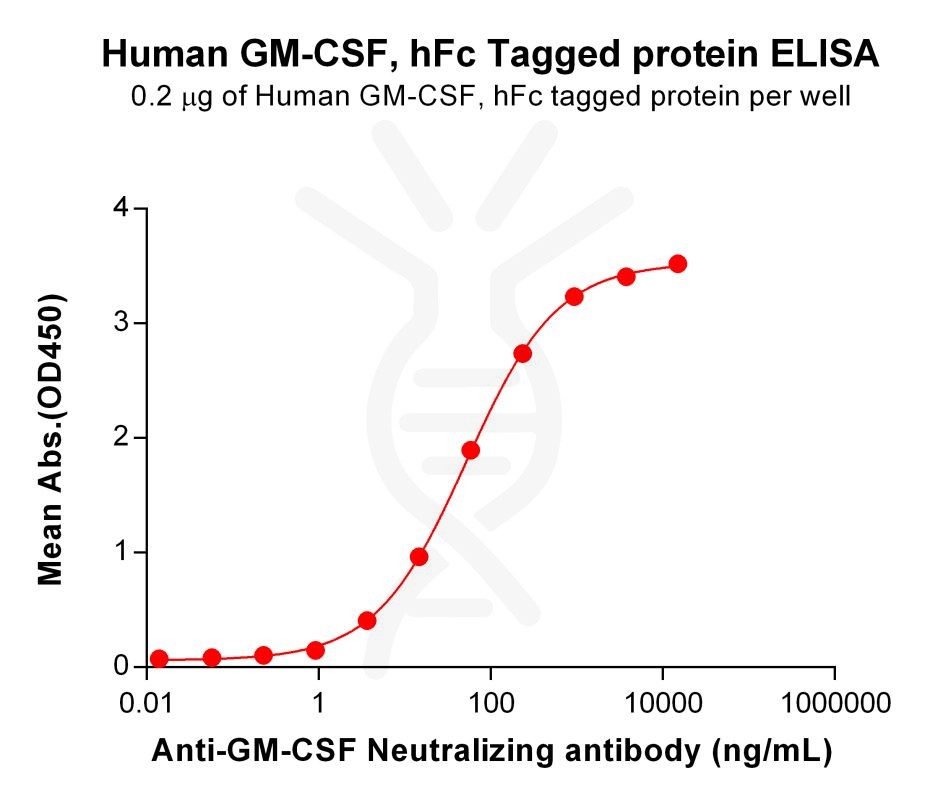 Human GM-CSF Protein, hFc Tag - DIMA Biotechnology