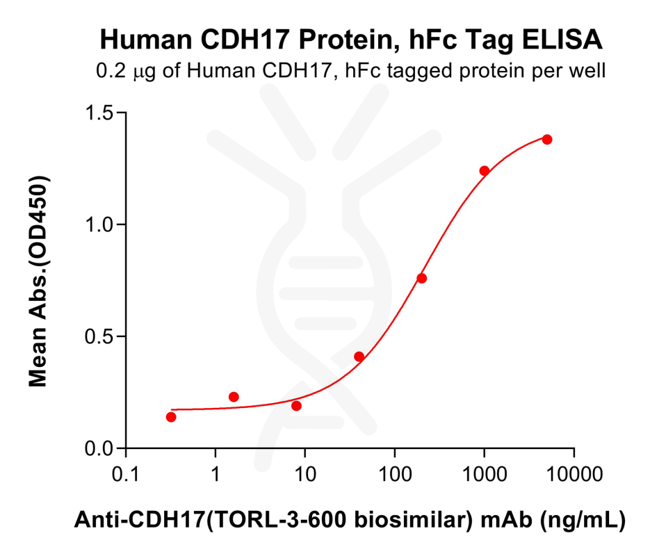 Human CDH17 Protein, hFc Tag - DIMA Biotechnology