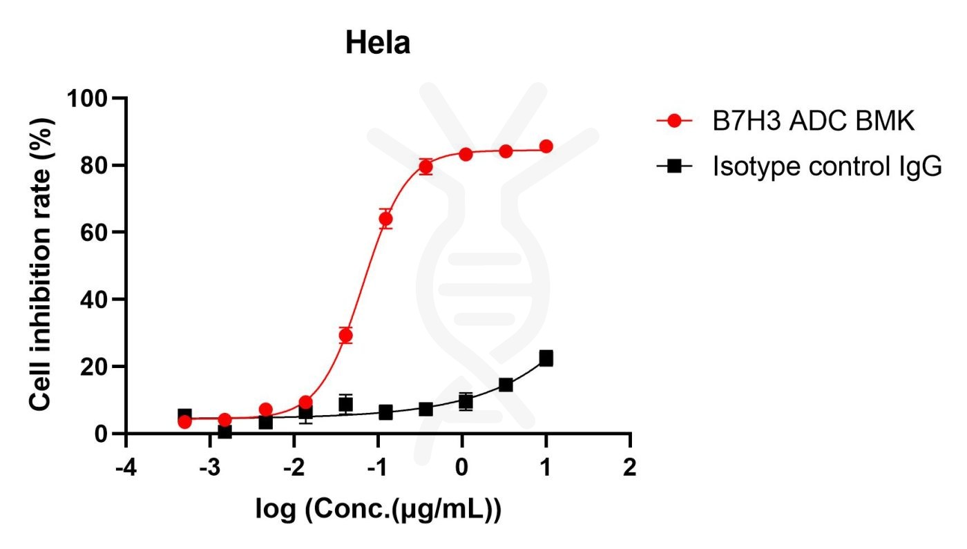 DiTagTM MMAE IgG labeling reagent