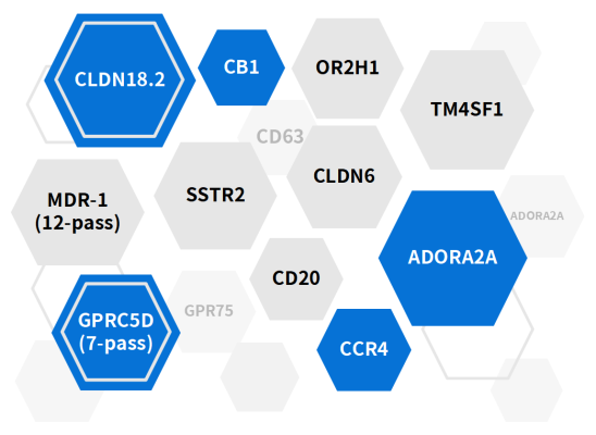 Synthetic Nanodisc-Dimabio
