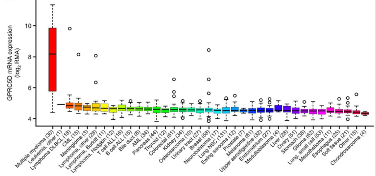 GPRC5D, a promising therapeutic target for multiple myeloma - DIMA ...