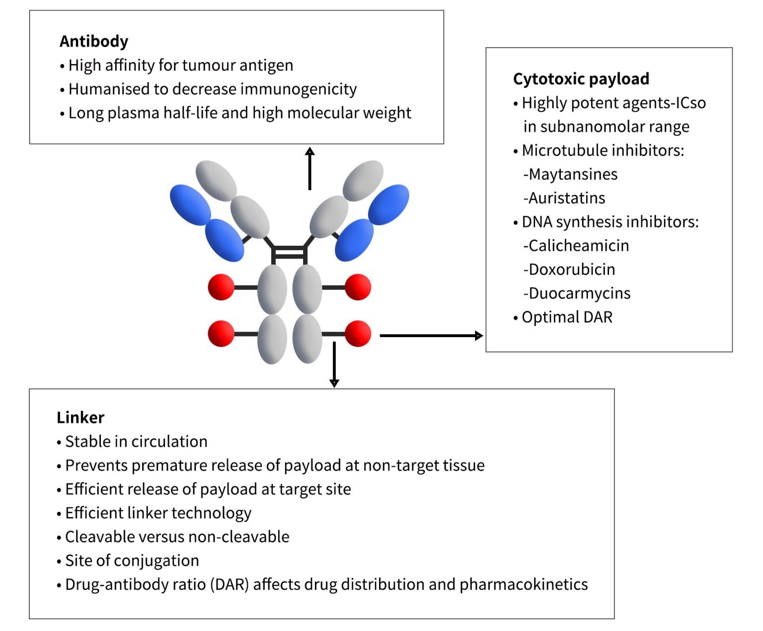 Navigating the ADC Frontier: Unleashing the Magic of Antibody‑Drug ...