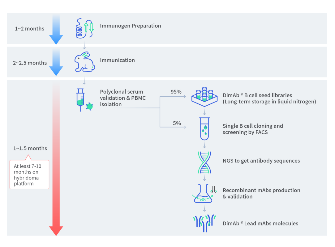 Overview - Therapeutic Lead Antibody Molecules - DIMA Biotechnology
